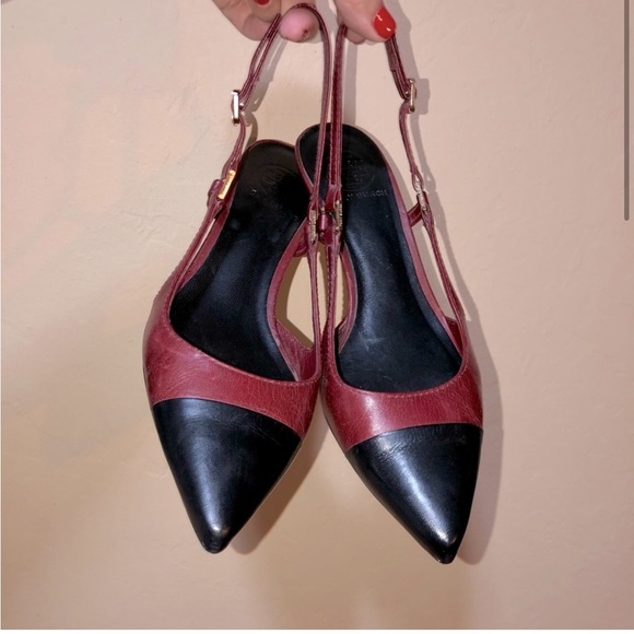 Tory Burch | Shoes | Tory Burch Felicity Spectator Slingback Kitten ...